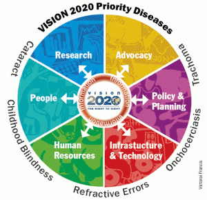 Community Eye Health Journal » Bridging the gaps