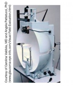 Community Eye Health Journal » Visual field testing for glaucoma – a ...