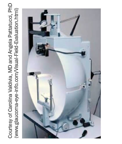 Community Eye Health Journal » Visual field testing for glaucoma – a ...